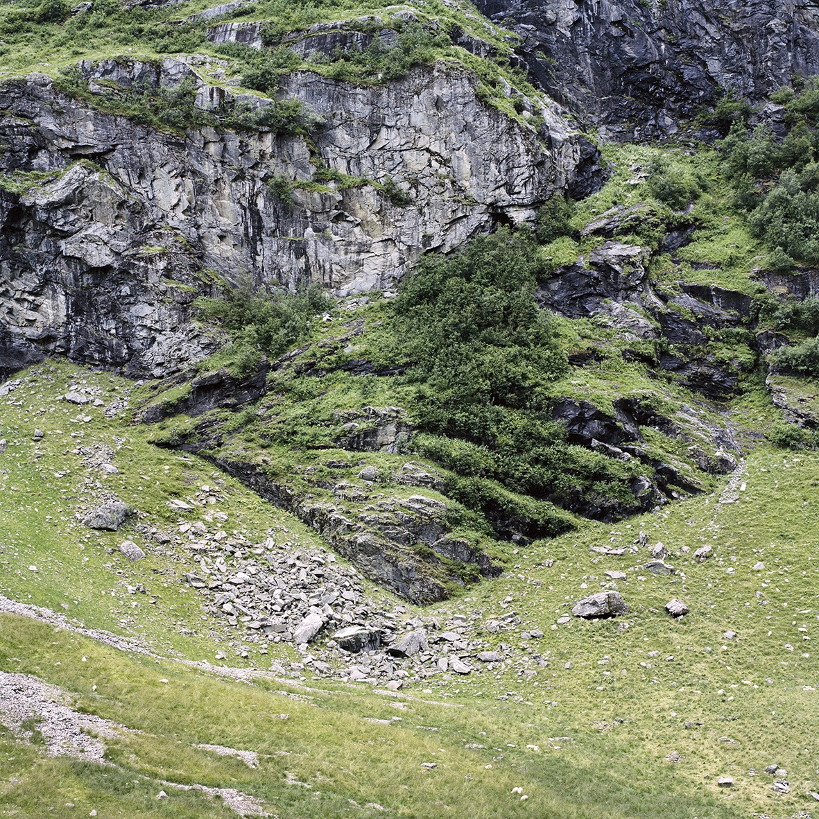 VIOLA EPLER fotografie